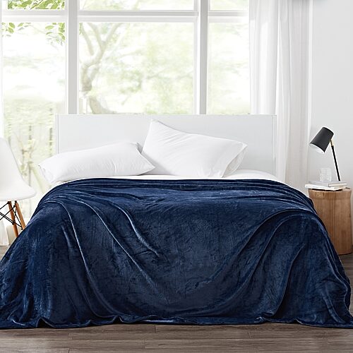 Click here for Cannon Solid Plush Blanket prices