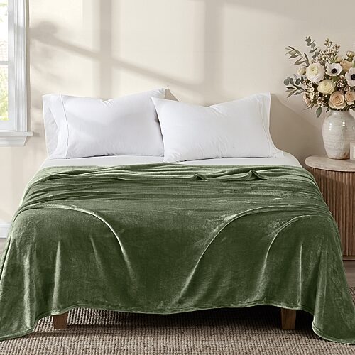 Click here for Truly Soft Velvet Plush Blanket  One Size  Green prices